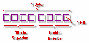 Bit Byte Y Nibble Bit Byte Y Nibble